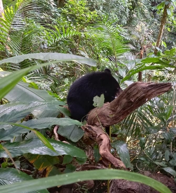 Supporting CBRC, Pakke Tiger Reserve Of Seijosa In Arunachal Pradesh – KEPL