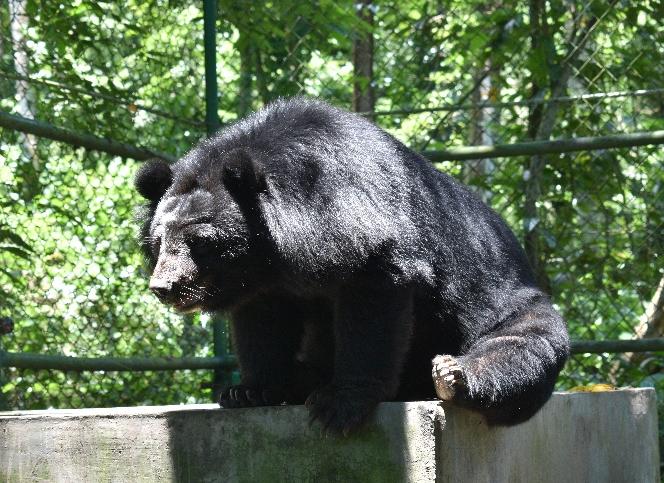 Supporting CBRC, Pakke Tiger Reserve Of Seijosa In Arunachal Pradesh – KEPL