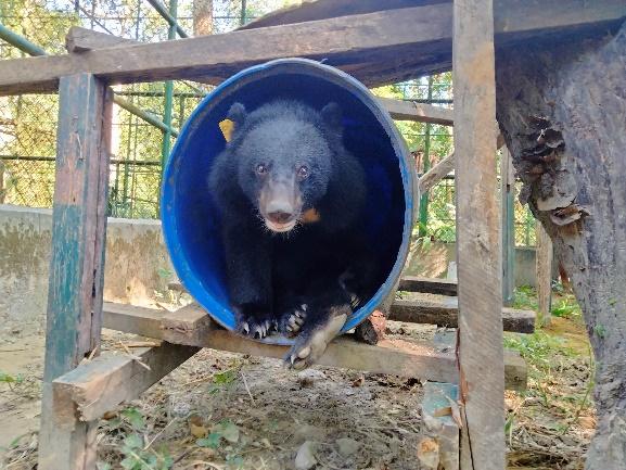 Supporting CBRC, Pakke Tiger Reserve Of Seijosa In Arunachal Pradesh – KEPL