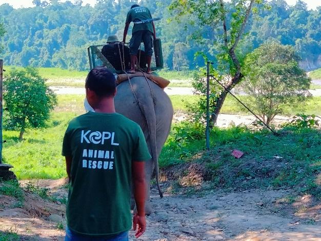 Supporting CBRC, Pakke Tiger Reserve Of Seijosa In Arunachal Pradesh – KEPL